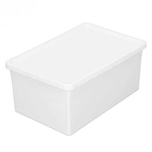 Storage Box, Plastic Desktop Storage Box Plastic Storage Bin Tote Multifunction Dustproof Storage Box Organizing Container with Lid for Home Desktop(#2)