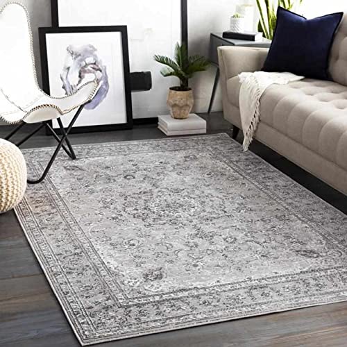 Mark&Day Area Rugs, 7x9 Terband Updated Traditional Charcoal Area Rug, White/Beige/Black Carpet for Living Room, Bedroom or Kitchen (6'7" x 9')