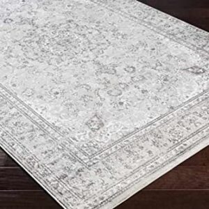 Mark&Day Area Rugs, 7x9 Terband Updated Traditional Charcoal Area Rug, White/Beige/Black Carpet for Living Room, Bedroom or Kitchen (6'7" x 9')