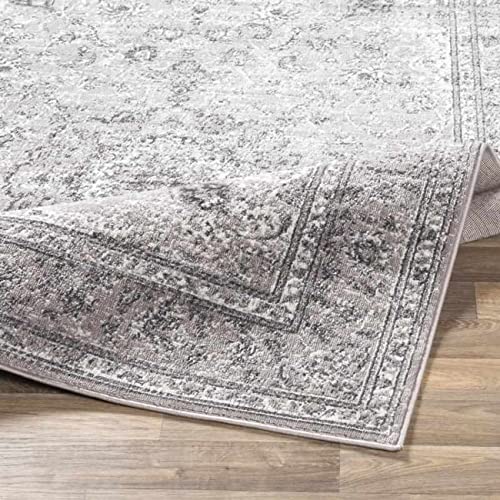 Mark&Day Area Rugs, 7x9 Terband Updated Traditional Charcoal Area Rug, White/Beige/Black Carpet for Living Room, Bedroom or Kitchen (6'7" x 9')