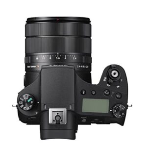 Sony Cyber‑Shot RX10 IV with 0.03 Second Auto-Focus & 25x Optical Zoom (DSC-RX10M4)