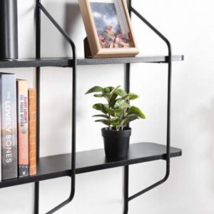 FurnitureR Floating Shelves Wall Mounted Storage Shelves, 2-Tier Wall Shelves Modern Hanging Shelves with Metal Frames, Decorative Display Rack Shelf for Living Room Bedroom, Black