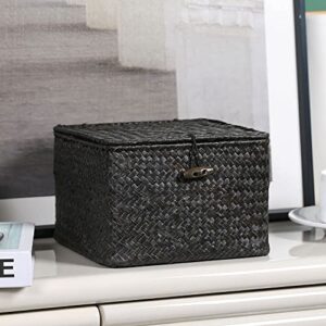 MyGift Black Seagrass Woven Small Storage Basket Organizer Box with Lid and Removable Fabric Liner