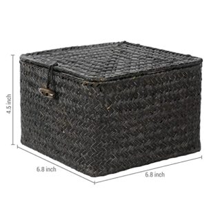 MyGift Black Seagrass Woven Small Storage Basket Organizer Box with Lid and Removable Fabric Liner