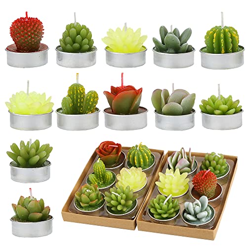 LJQizn 12pcs Cactus Tealight Candles Handmade Delicate Succulent Cactus Candles Tea Lights Perfect for Birthday Party Wedding Spa Home Decor Gifts (12pcs Cactus Candles)