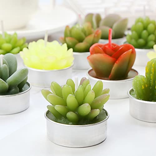 LJQizn 12pcs Cactus Tealight Candles Handmade Delicate Succulent Cactus Candles Tea Lights Perfect for Birthday Party Wedding Spa Home Decor Gifts (12pcs Cactus Candles)