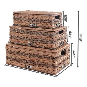 Citylife Water Hyacinth Storage Baskets with Lids Handwoven Wicker Baskets for Shelves Stackable Woven Storage Bins for Organizing, Set of 3