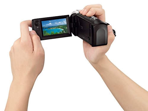 Sony - HDRCX405 HD Video Recording Handycam Camcorder (black)