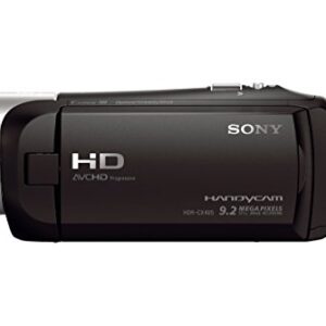 Sony - HDRCX405 HD Video Recording Handycam Camcorder (black)