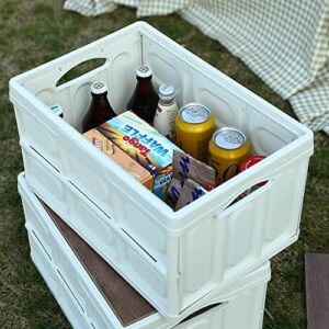 submatches 56 Quart Plastic Storage Tote, Collapsible Storage Bin with Wooden Lid, Tough Plastic Storage Container with Waterproof Bag, Foldable&Stackable Storage Crate for Car, Toys, Camping, Picnic