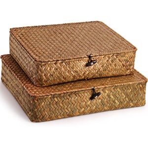 elsjoy 2 pack seagrass baskets with lid, wicker storage baskets flat rattan storage bins, woven organizer baskets for shelf, closet, bedroom