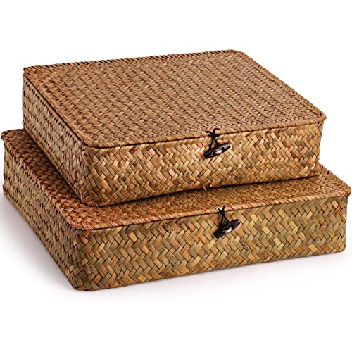 Elsjoy 2 Pack Seagrass Baskets with Lid, Wicker Storage Baskets Flat Rattan Storage Bins, Woven Organizer Baskets for Shelf, Closet, Bedroom