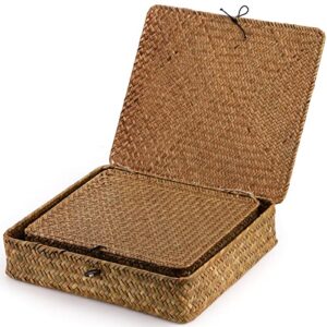 Elsjoy 2 Pack Seagrass Baskets with Lid, Wicker Storage Baskets Flat Rattan Storage Bins, Woven Organizer Baskets for Shelf, Closet, Bedroom