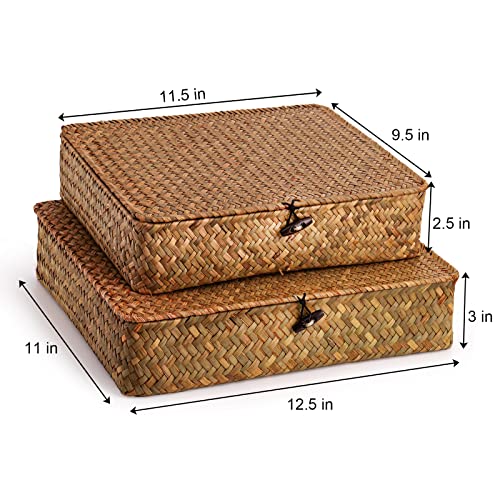 Elsjoy 2 Pack Seagrass Baskets with Lid, Wicker Storage Baskets Flat Rattan Storage Bins, Woven Organizer Baskets for Shelf, Closet, Bedroom