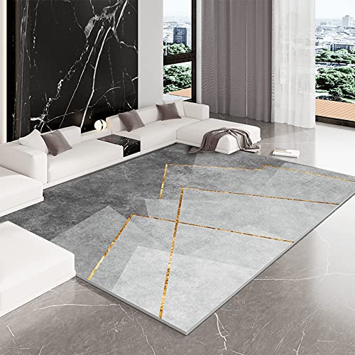 SUWUYUE Modern Abstract Geometric Golden Lines Craft Area Rug with Non-Shedding Floor Carpet for Living Room Bedroom Dining Home Office Grey / Gold (8FTX10FT)