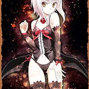 Anime Metal Poster High School Dxd 11 figure poster metal tin sign High School DxD Wall Art Decor Tin Sign-8x12inch