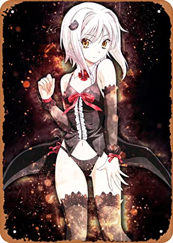 Anime Metal Poster High School Dxd 11 figure poster metal tin sign High School DxD Wall Art Decor Tin Sign-8x12inch