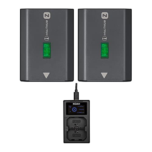 Sony NPFZ100 Z-Series Rechargeable Camera Battery (Two-Pack) with Dual Charger Bundle (3 Items) - More Power for Longer Shooting Times