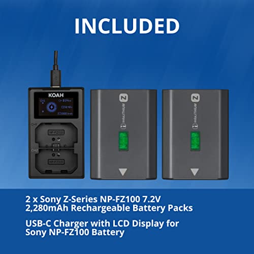 Sony NPFZ100 Z-Series Rechargeable Camera Battery (Two-Pack) with Dual Charger Bundle (3 Items) - More Power for Longer Shooting Times