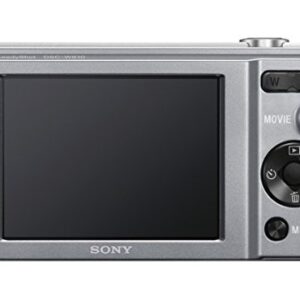 Sony Cyber-Shot DSCW810 20.1MP Digital Camera