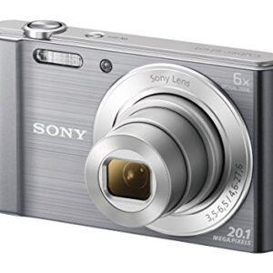 Sony Cyber-Shot DSCW810 20.1MP Digital Camera