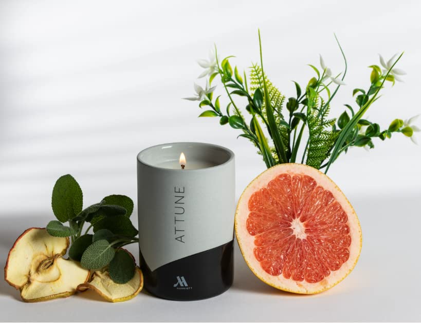 Marriott Attune Candle - Notes of Fuji Apple, Rose, and Cassis - Hand-Poured Soy Wax Blend in Gray Porcelain Jar