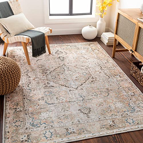 Kemer Collection Machine Washable Area Rug for Living Room Bedroom - Vintage Distressed Faded - Traditional Boho Bohemian Farmhouse Bordered Carpet - Pet Friendly - Brown, Beige, Cream - 8'10" x 12'