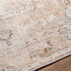 Kemer Collection Machine Washable Area Rug for Living Room Bedroom - Vintage Distressed Faded - Traditional Boho Bohemian Farmhouse Bordered Carpet - Pet Friendly - Brown, Beige, Cream - 8'10" x 12'