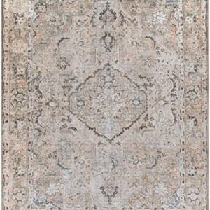 Kemer Collection Machine Washable Area Rug for Living Room Bedroom - Vintage Distressed Faded - Traditional Boho Bohemian Farmhouse Bordered Carpet - Pet Friendly - Brown, Beige, Cream - 8'10" x 12'