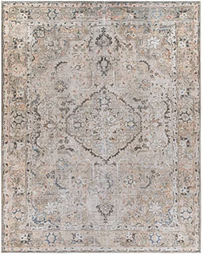 Kemer Collection Machine Washable Area Rug for Living Room Bedroom - Vintage Distressed Faded - Traditional Boho Bohemian Farmhouse Bordered Carpet - Pet Friendly - Brown, Beige, Cream - 8'10" x 12'