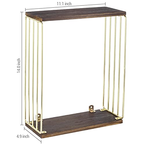 MyGift 2 Tier Modern Brass and Burnt Wood Floating Shelf, Decorative Shadow Box Wall Shelf