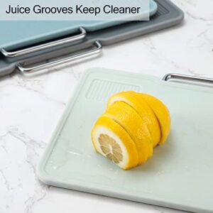 Domonic Home Cutting Board Set, Cutting Boards for Kitchen Dishwasher Safe, Plastic Cutting Board with Holder, Chopping Board with Juice Grooves, Non-Slip