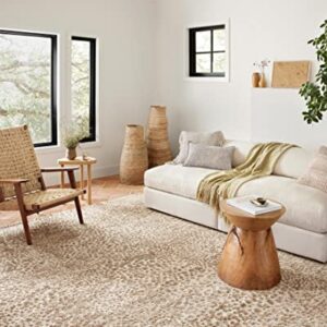 Loloi II Neda Collection NED-02 Ivory/Sand, Transitional 3'-6" x 5'-6" Accent Rug