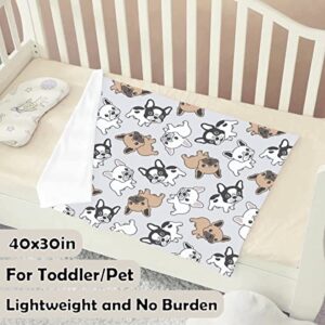 Cute French Bulldog Blanket, Animal Dog Print Throw Blankets for Puppy Dog Crib Bed Couch Sofa Super Soft Lightweight Throw Frenchie Gifts for Women, Bulldog Lover,Baby 40"X30" for Pet/Stroller