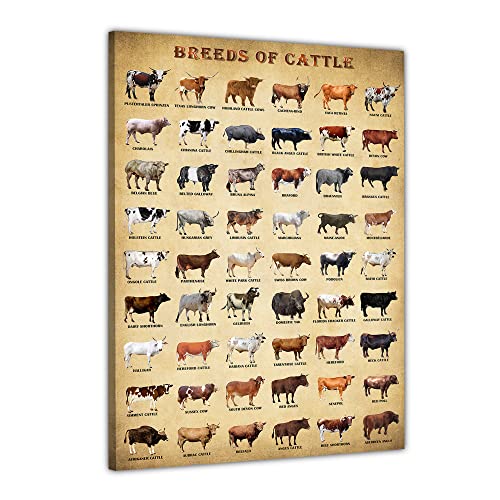 BASYEEO Breeds of Cattle Poster,Common Breeds of Beef and Dairy Cows, Animal Poster Farmhouse Wall Art Prints Unframed 12x18inch