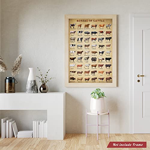 BASYEEO Breeds of Cattle Poster,Common Breeds of Beef and Dairy Cows, Animal Poster Farmhouse Wall Art Prints Unframed 12x18inch