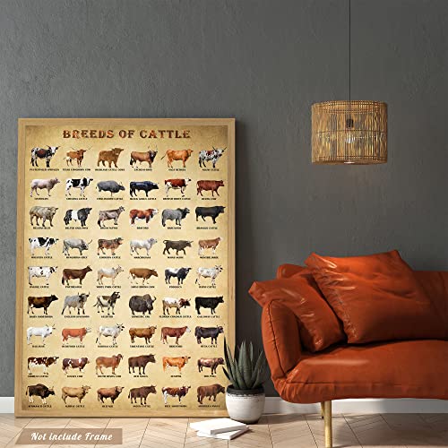 BASYEEO Breeds of Cattle Poster,Common Breeds of Beef and Dairy Cows, Animal Poster Farmhouse Wall Art Prints Unframed 12x18inch