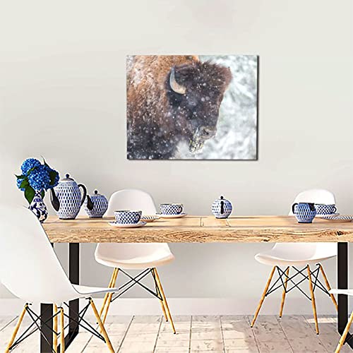 MOYMTEP American Bison Or Buffalo Resting in A Snow Storm Canvas Wall Art Gallery Artwork for Living Room Bedroom - Modern Home Decor Stretched and Framed Ready to Hang Pictures 16x20 Inches