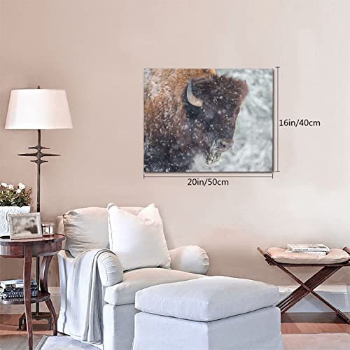 MOYMTEP American Bison Or Buffalo Resting in A Snow Storm Canvas Wall Art Gallery Artwork for Living Room Bedroom - Modern Home Decor Stretched and Framed Ready to Hang Pictures 16x20 Inches