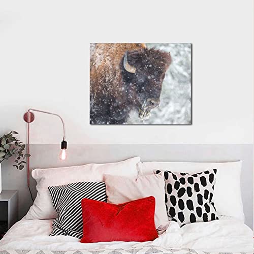 MOYMTEP American Bison Or Buffalo Resting in A Snow Storm Canvas Wall Art Gallery Artwork for Living Room Bedroom - Modern Home Decor Stretched and Framed Ready to Hang Pictures 16x20 Inches