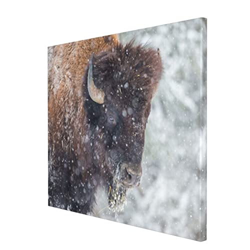 MOYMTEP American Bison Or Buffalo Resting in A Snow Storm Canvas Wall Art Gallery Artwork for Living Room Bedroom - Modern Home Decor Stretched and Framed Ready to Hang Pictures 16x20 Inches