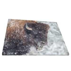 MOYMTEP American Bison Or Buffalo Resting in A Snow Storm Canvas Wall Art Gallery Artwork for Living Room Bedroom - Modern Home Decor Stretched and Framed Ready to Hang Pictures 16x20 Inches