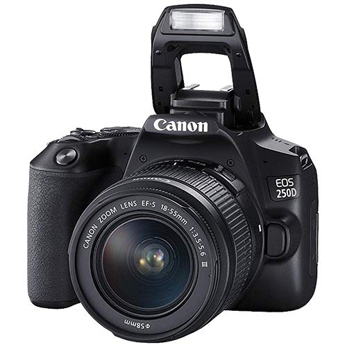 Canon EOS 250D / Rebel SL3 Digital SLR Camera Body w/Canon EF-S 18-55mm f/3.5-5.6 Lens 3 Lens DSLR Kit Bundled with Complete Accessory Bundle + 64GB + Flash+ Case & More- International Model (Renewed)