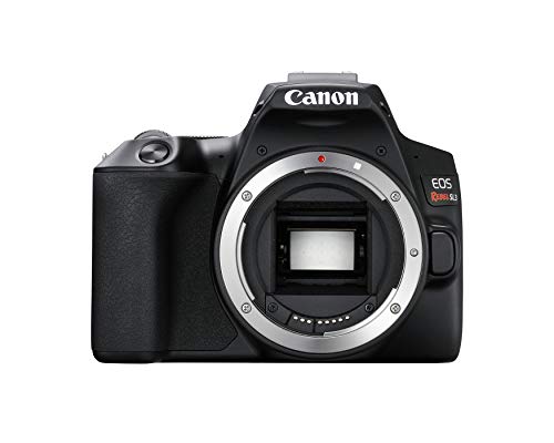 CANON EOS Rebel SL3 DSLR Camera, Built-in Wi-Fi, Dual Pixel CMOS AF and 3.0 inch Vari-Angle Touch Screen, Body, Black