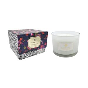 trina turk spiced mandarin 3 wick candle jar 12.3 ounces