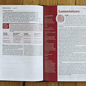 NIV, Life Application Study Bible, Third Edition, Large Print, Bonded Leather, Brown, Red Letter, Thumb Indexed