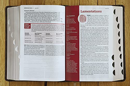 NIV, Life Application Study Bible, Third Edition, Large Print, Bonded Leather, Brown, Red Letter, Thumb Indexed