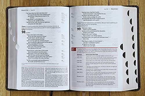 NIV, Life Application Study Bible, Third Edition, Large Print, Bonded Leather, Brown, Red Letter, Thumb Indexed