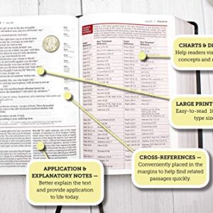 NIV, Life Application Study Bible, Third Edition, Large Print, Bonded Leather, Brown, Red Letter, Thumb Indexed