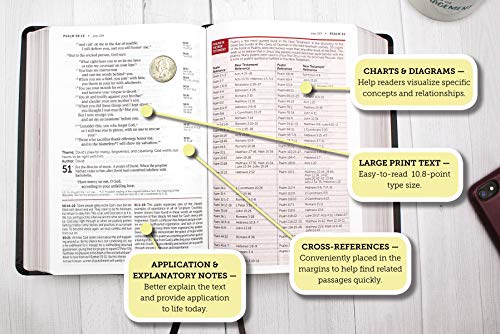 NIV, Life Application Study Bible, Third Edition, Large Print, Bonded Leather, Brown, Red Letter, Thumb Indexed